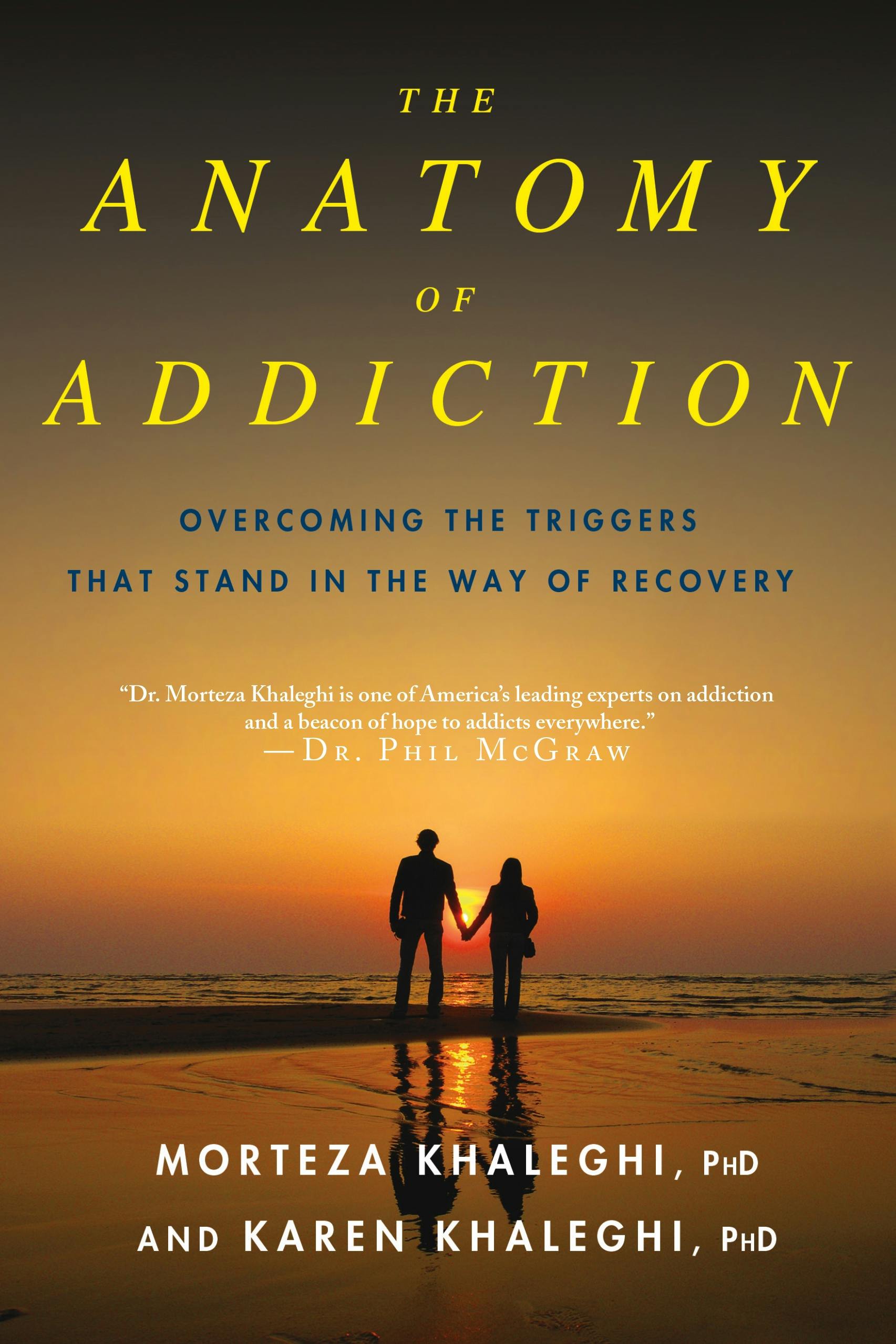 The Anatomy of Addiction