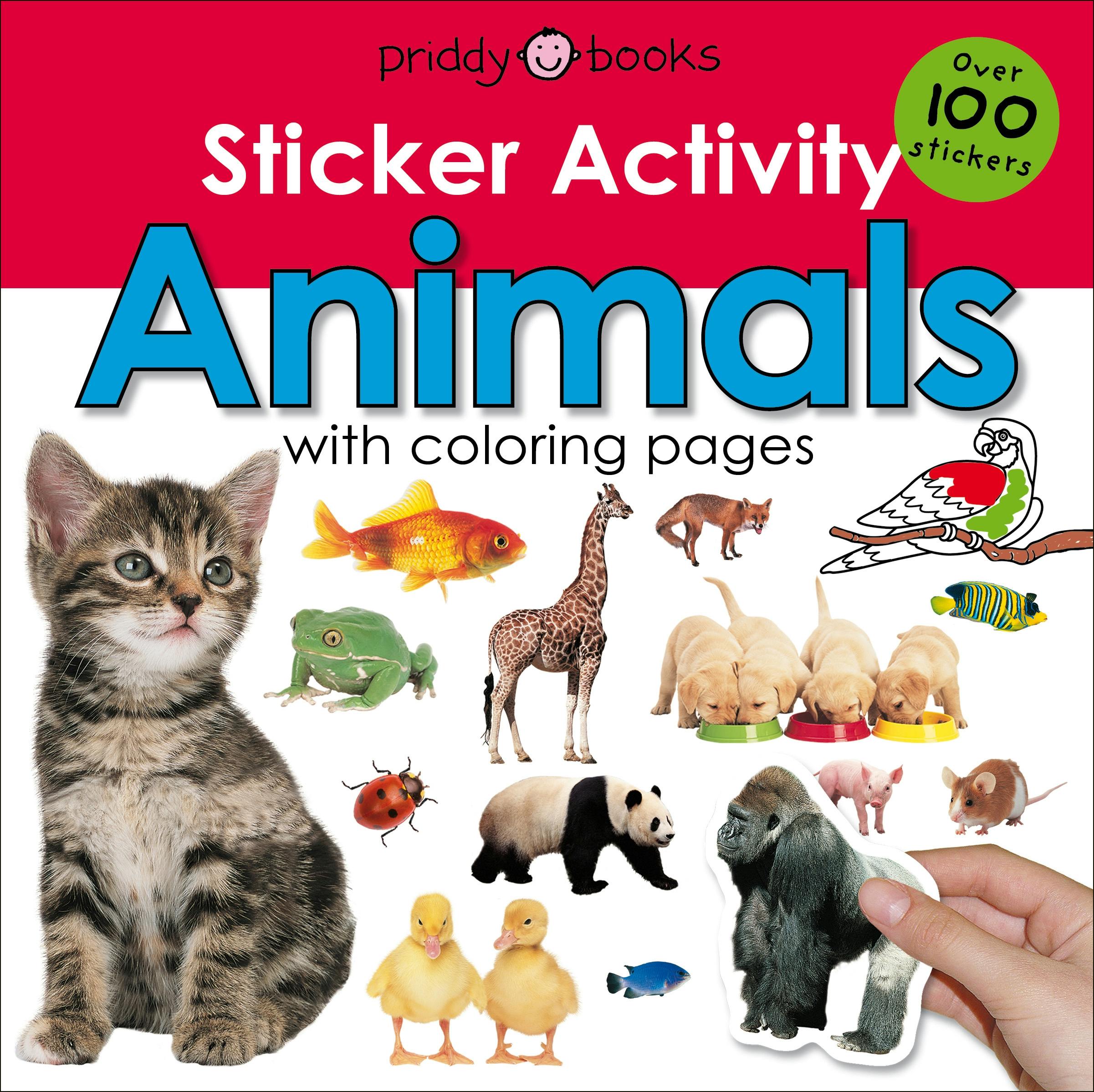 Sticker Activity Fun | Series | Macmillan