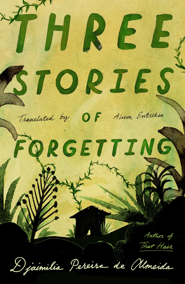 Three Stories of Forgetting