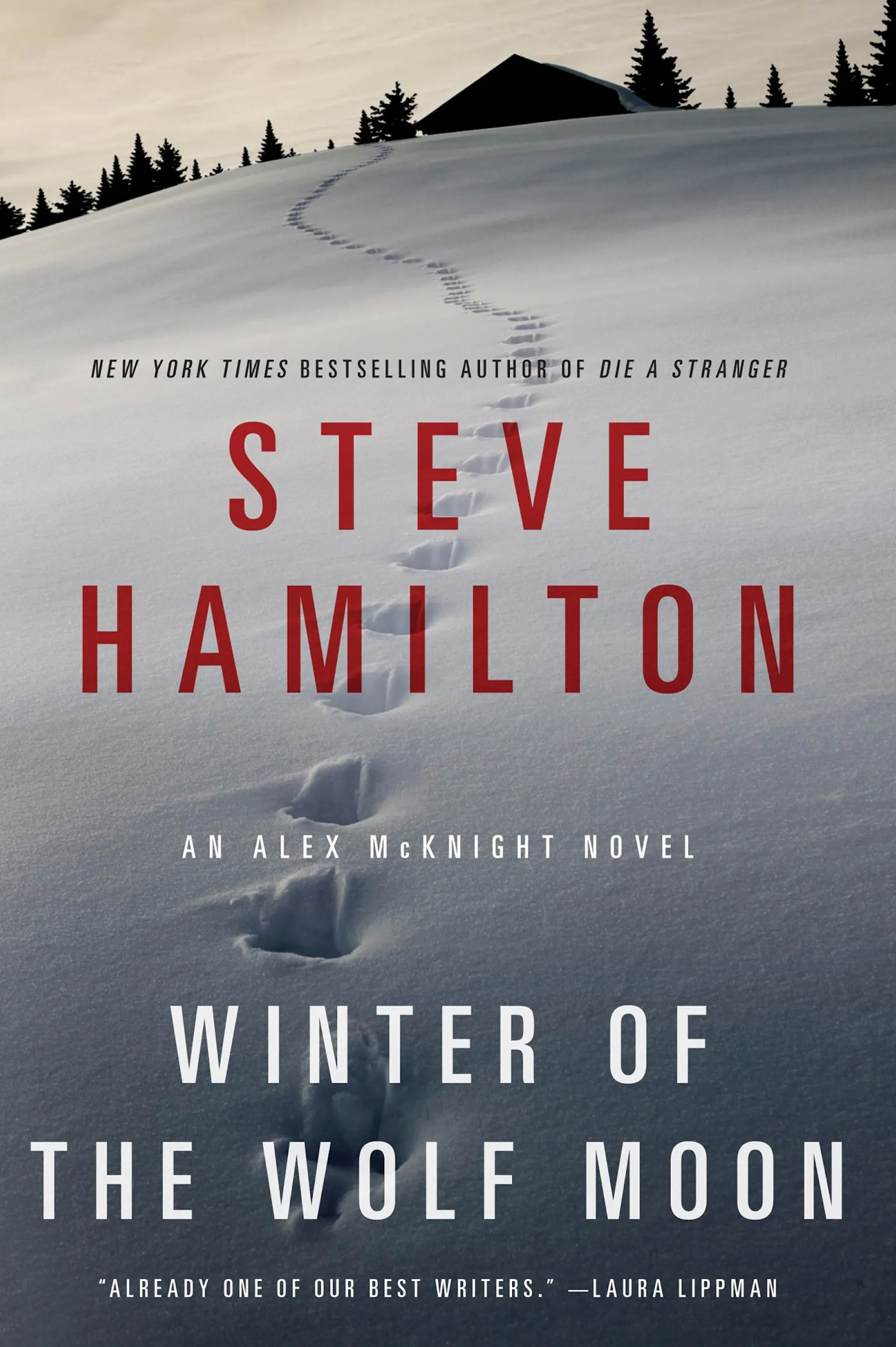 Winter Moon Book