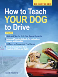How To Teach Your Dog To Drive How To Teach Your Dog To Drive