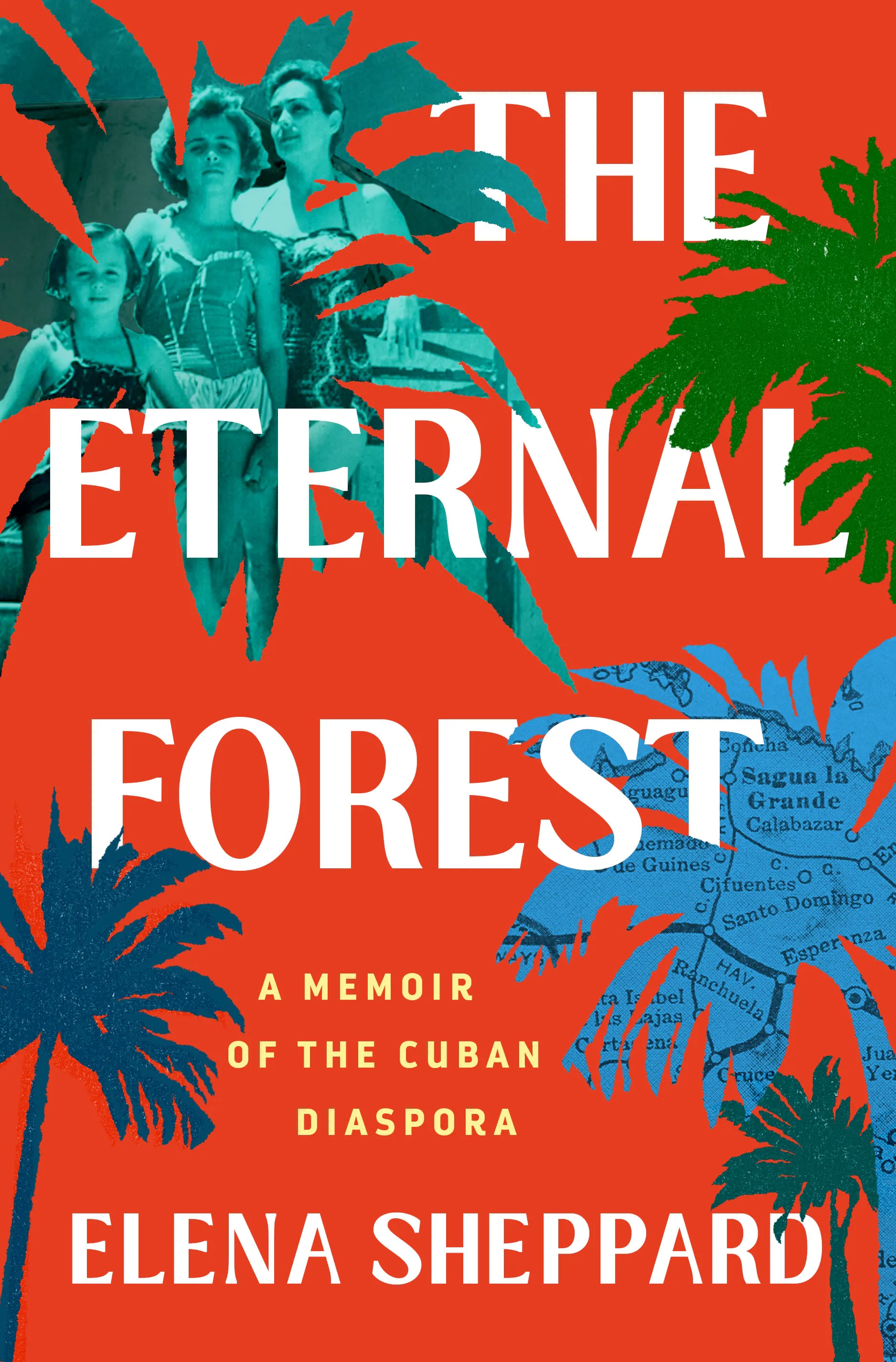 The Eternal Forest