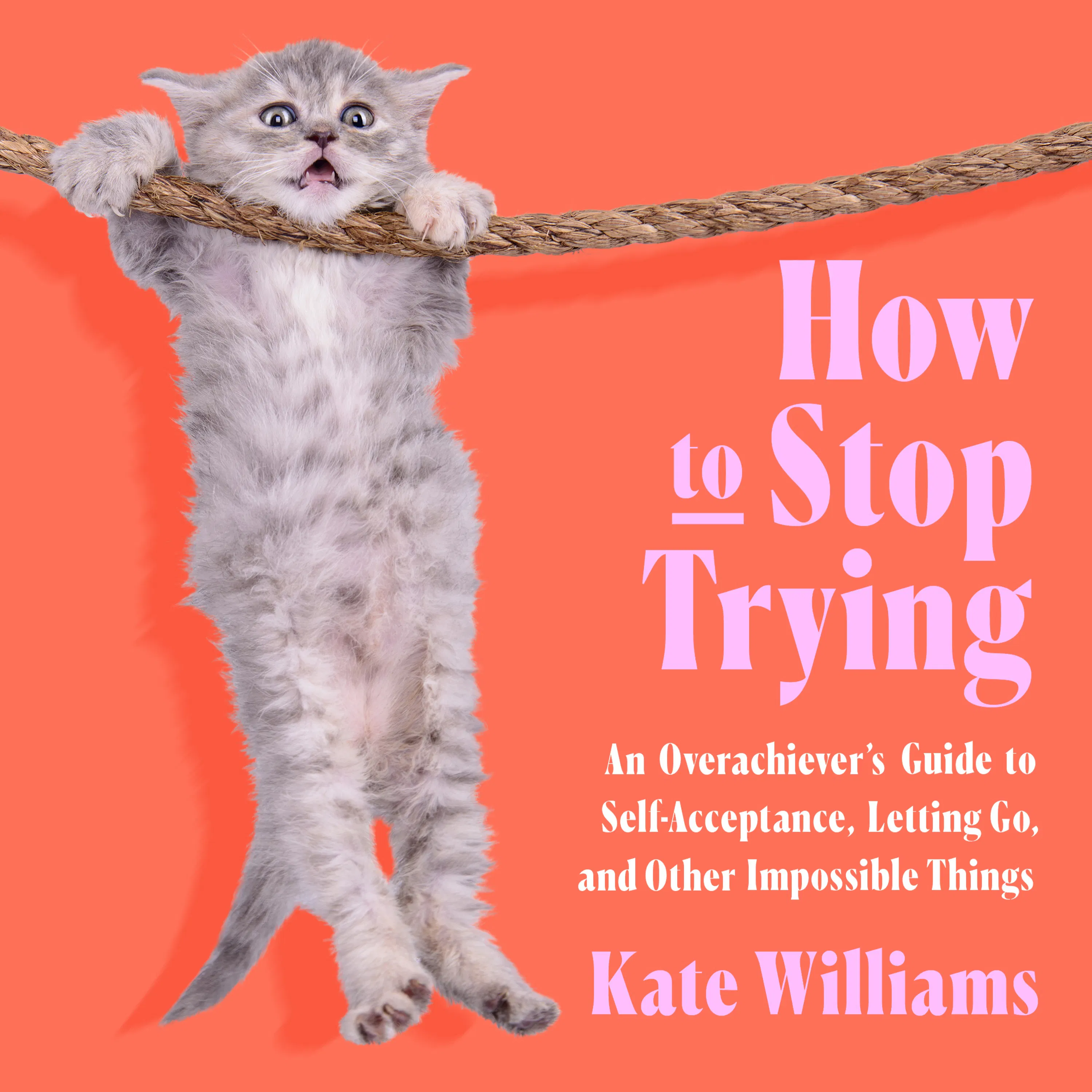 Motivational Cat Poster Hang In There