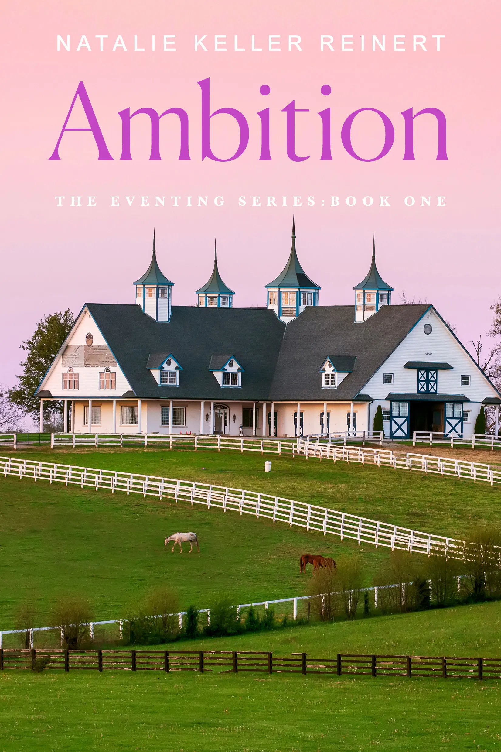 Ambition Buddy Read Sweepstakes - Macmillan