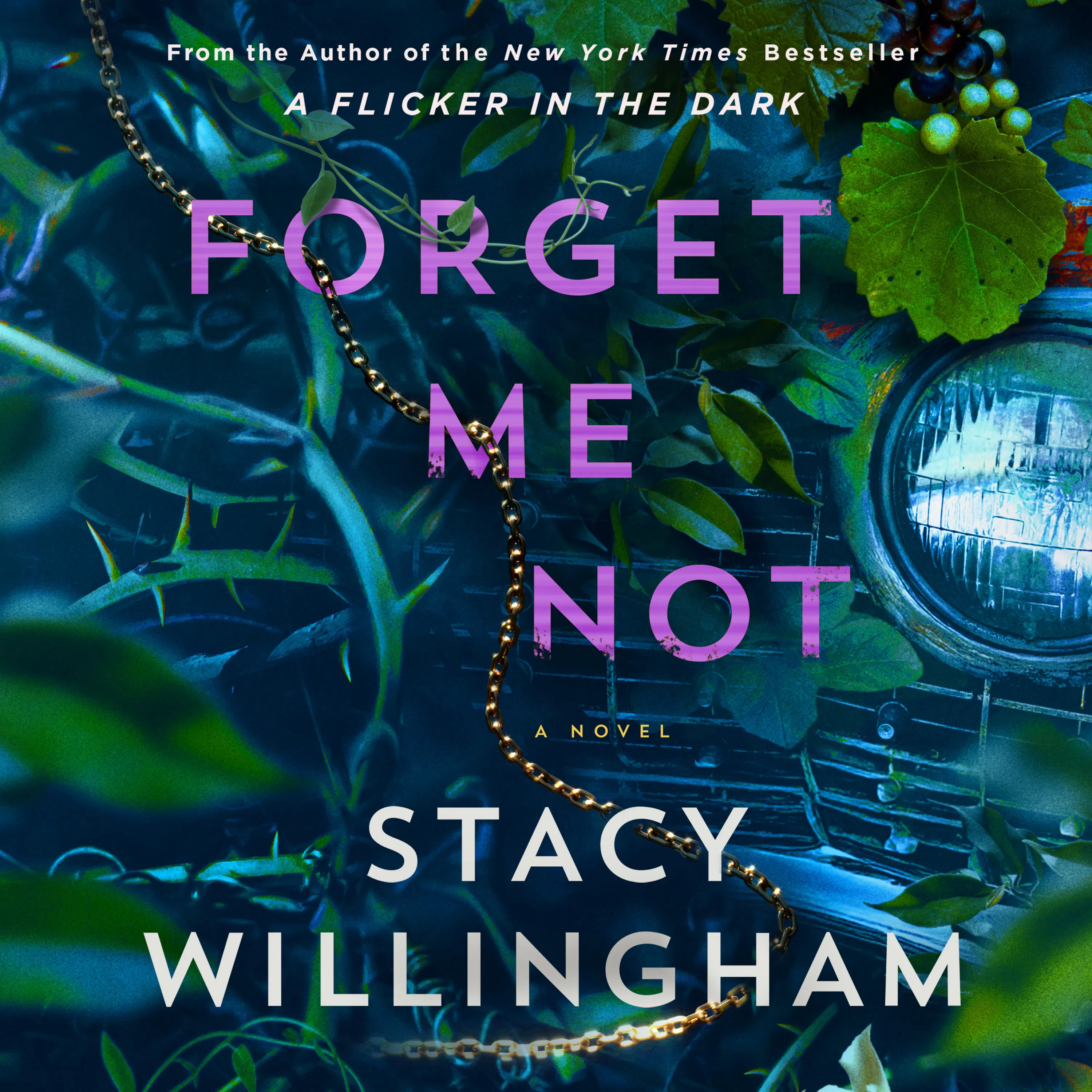 Forget Me Not