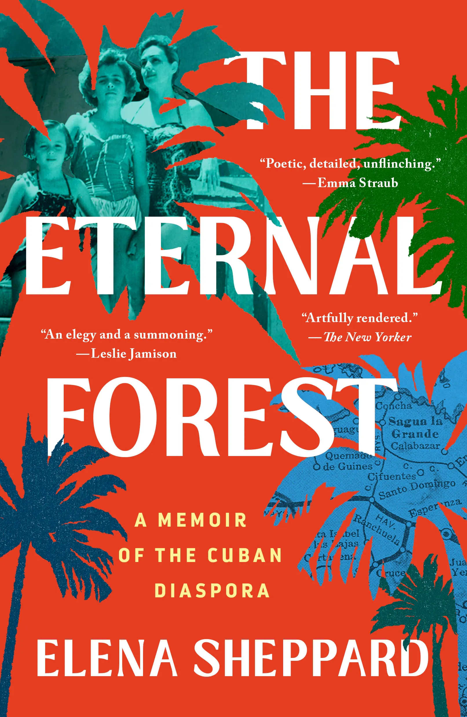 The Eternal Forest
