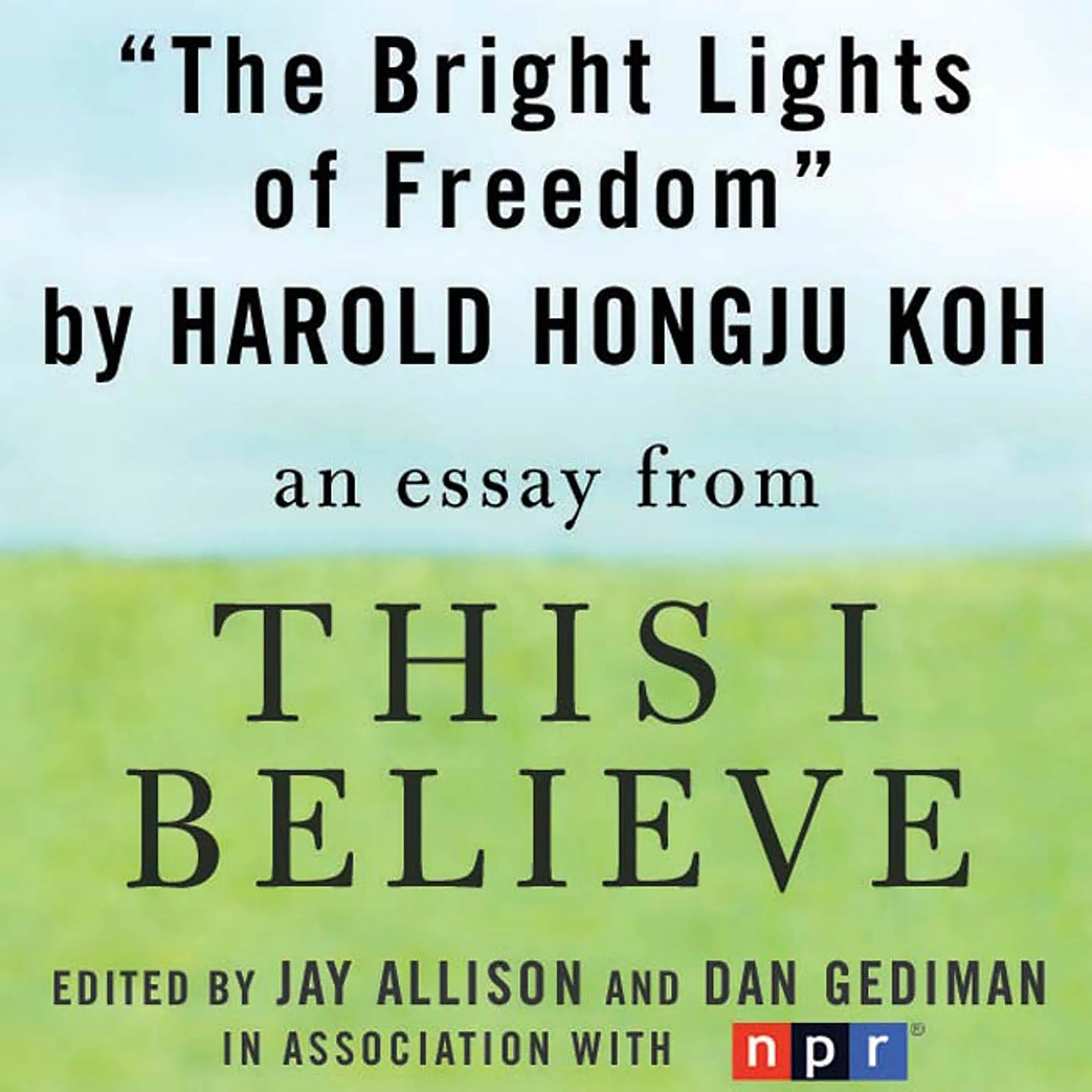 The Bright Lights of Freedom