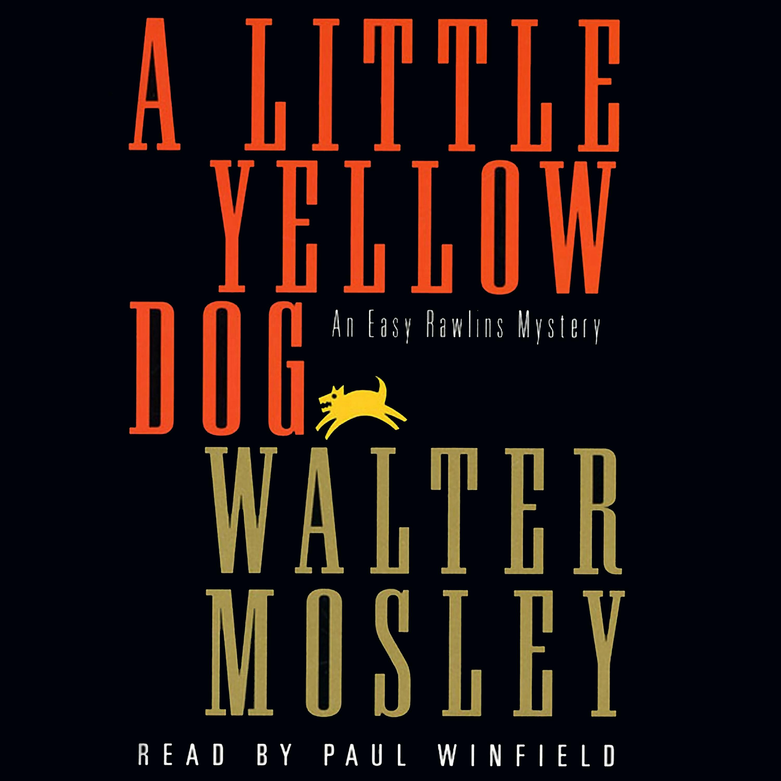 A Little Yellow Dog