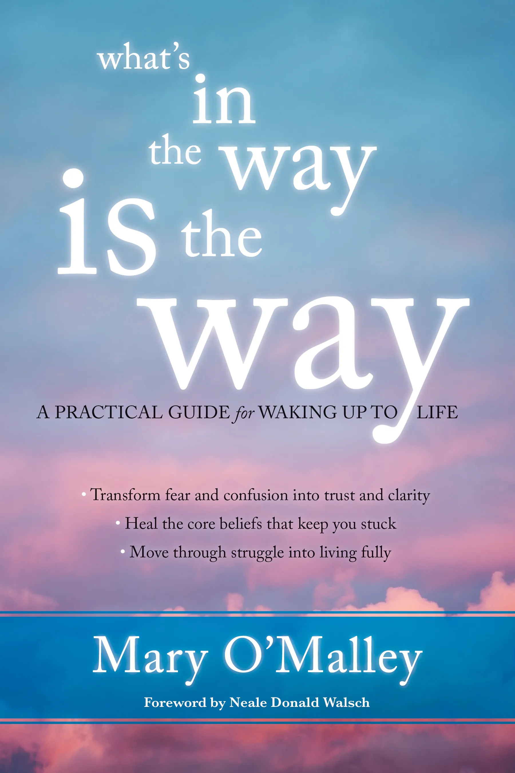 What's in the Way Is the Way