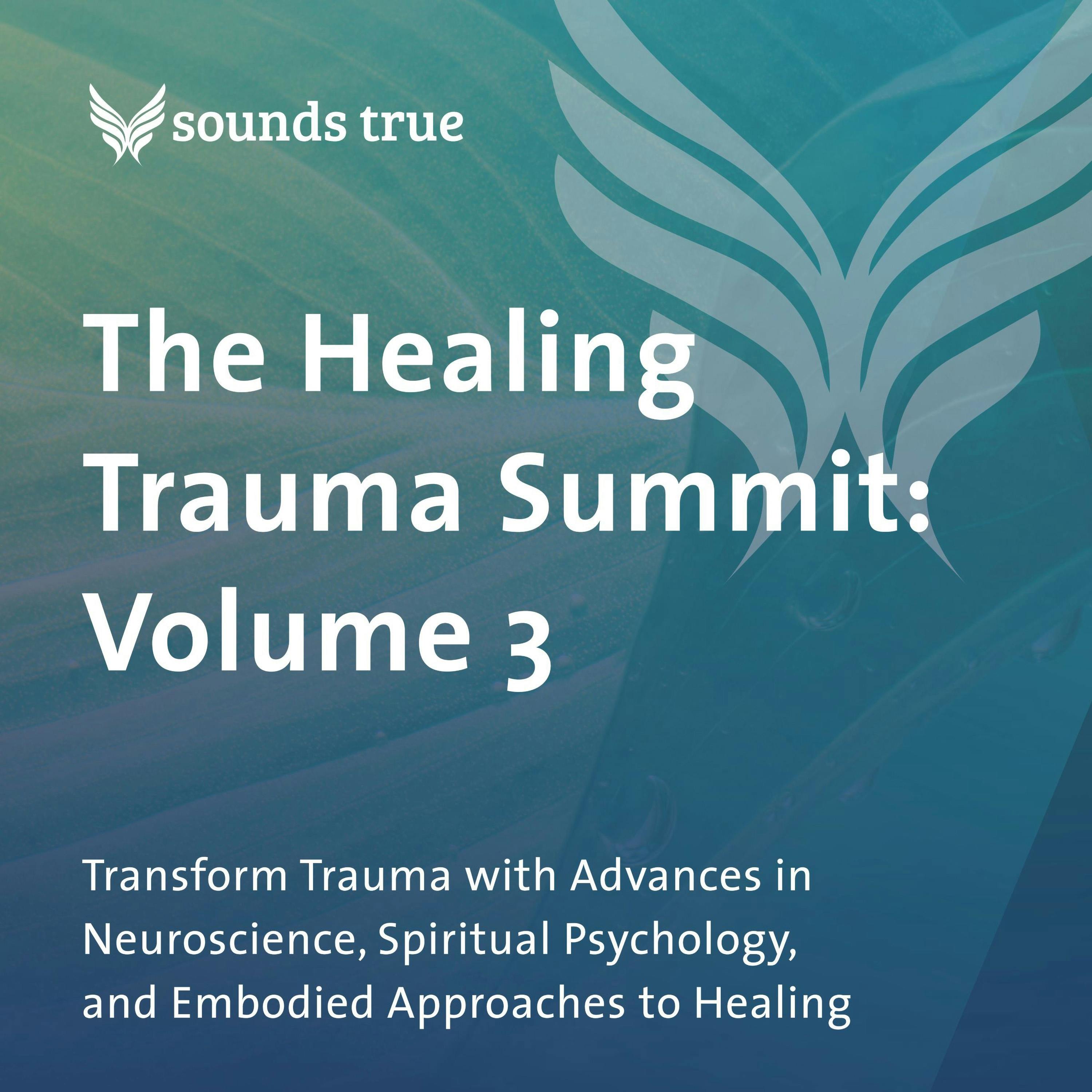 The Healing Trauma Summit: Volume 3